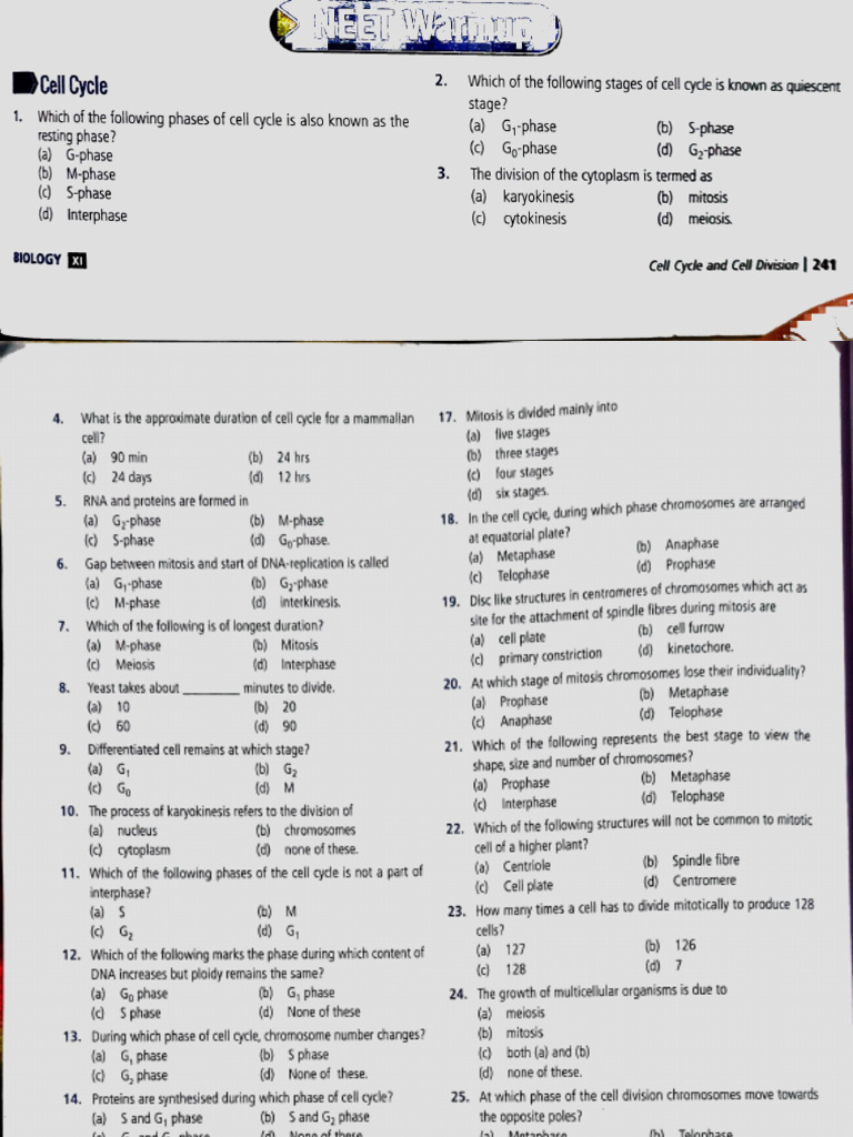 Cell Cycle Cell Division DPP | PDF