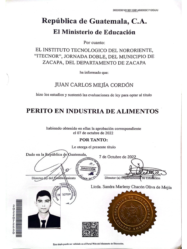 Mí Diploma de Carrera | PDF