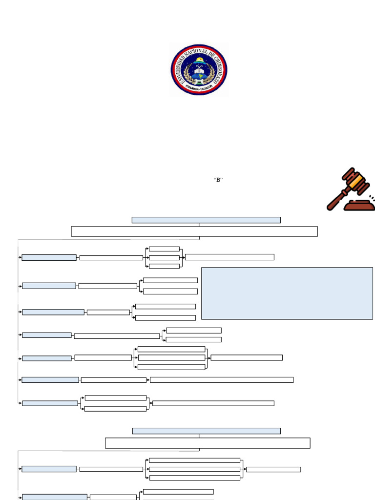 deber_Mapas conceptuales y análisis de videos_Erik Chiguano | PDF | Fiscal | Mandato
