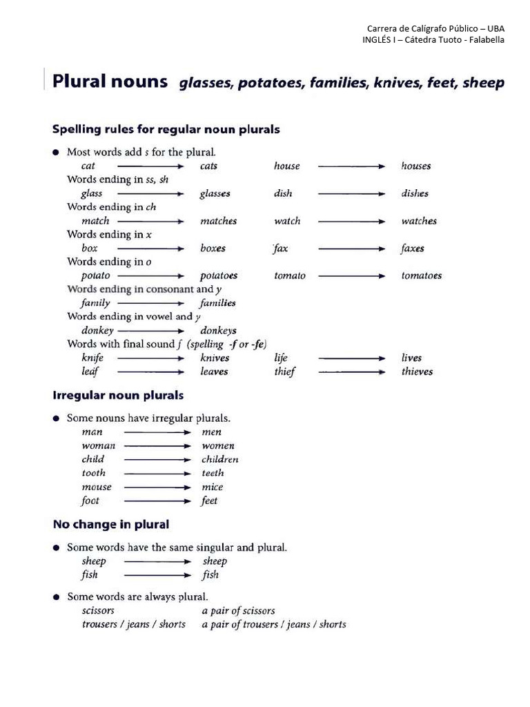 Lesson 3 - Nouns and Plural Nouns | PDF