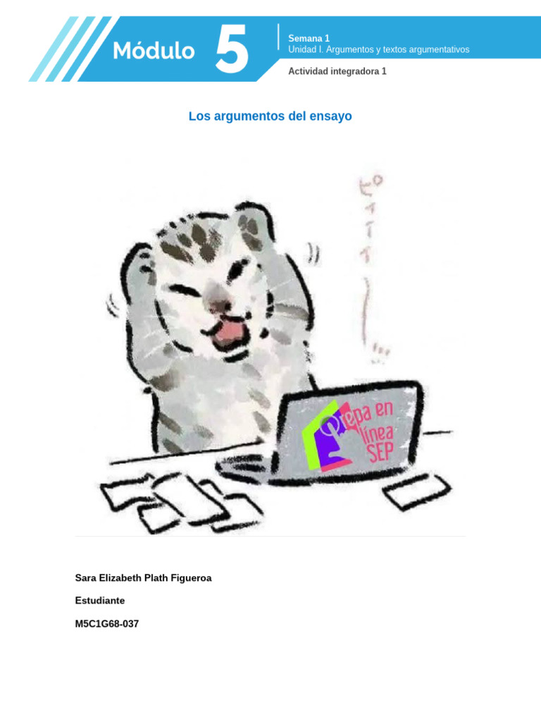 Actividad Integradora 2 Módulo 5 | PDF | Masculinidad