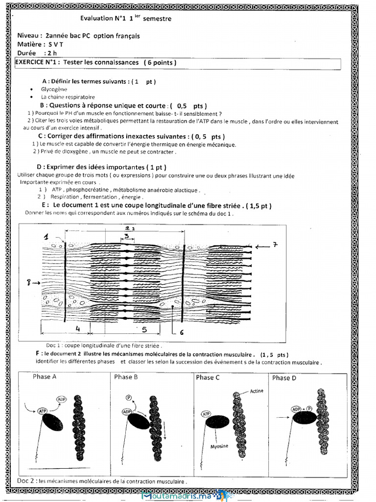 Devoir SVT 2bac SP International FR s1 1 | PDF