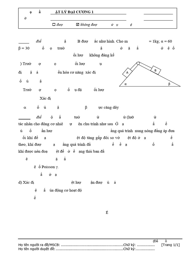 (VLDC1) CK 2021-1 | PDF