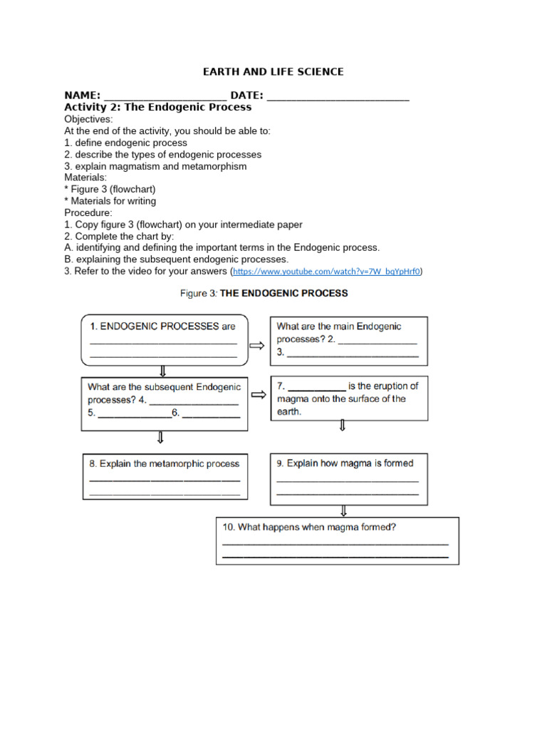 Earth and Life Science Activity | PDF