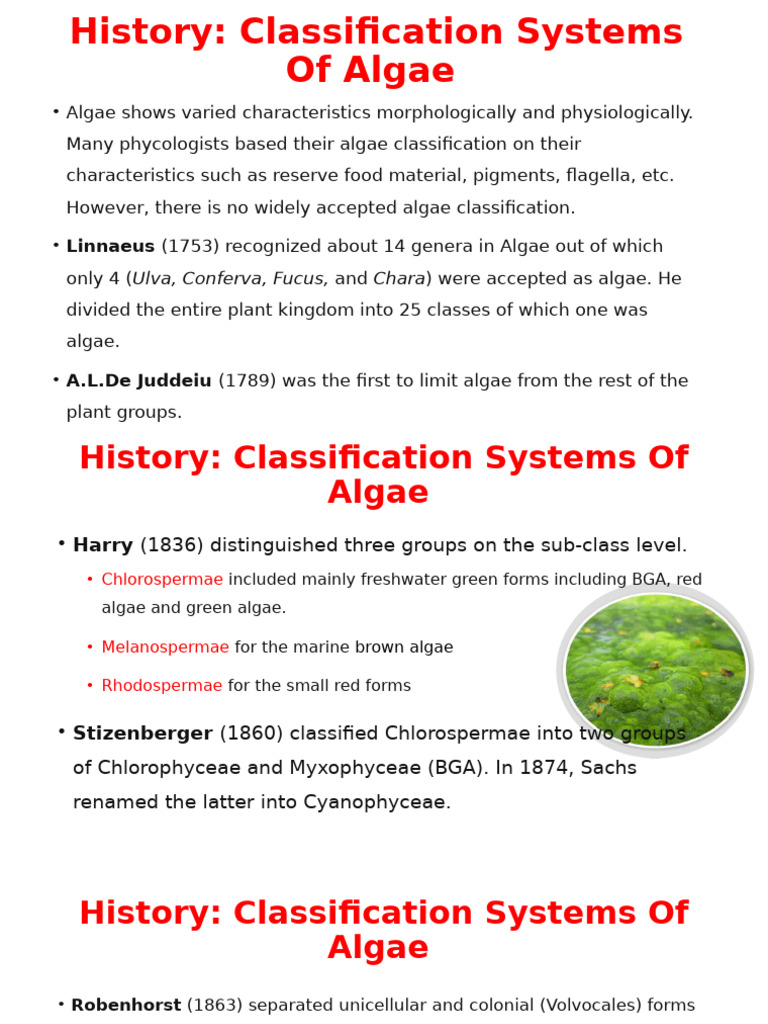 Classification of Algae | PDF | Algae | Prokaryote