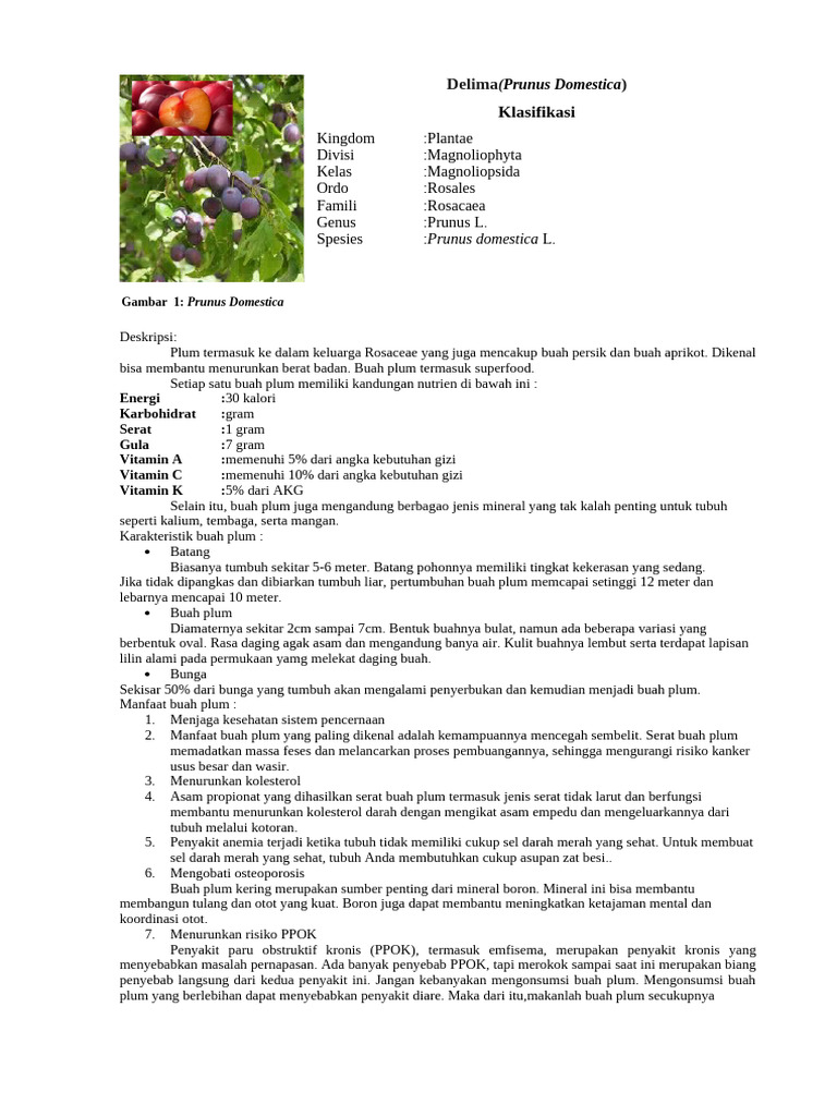 Uas Taksonomi (Plum) | PDF