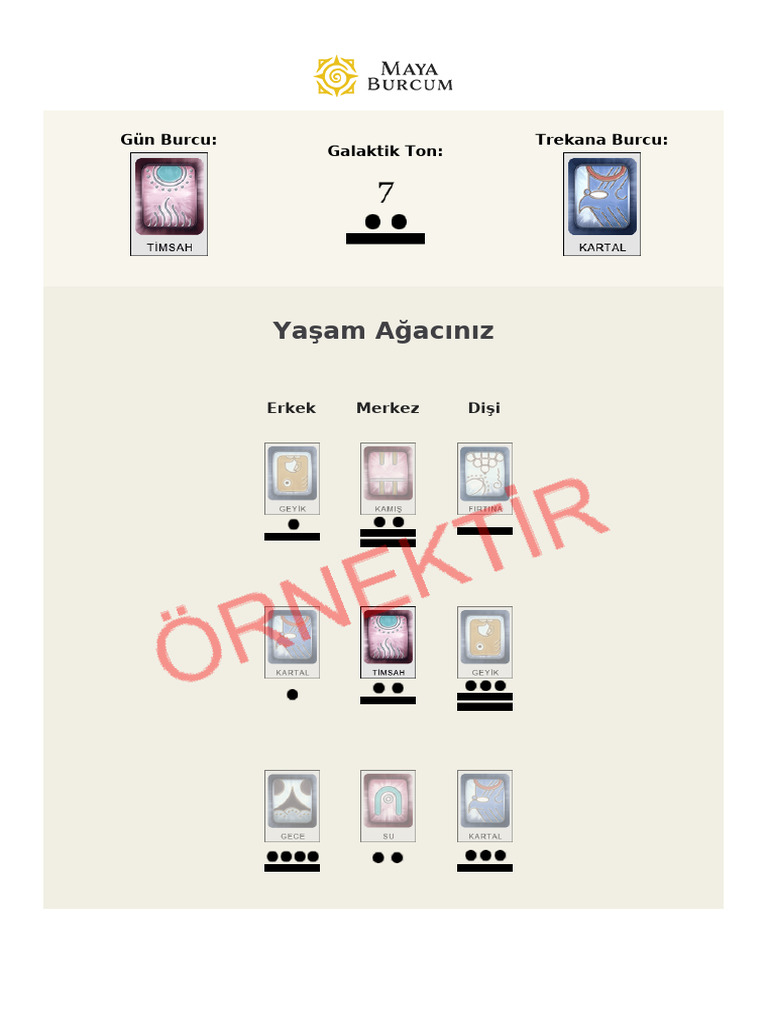 Simple Report Sample TR | PDF