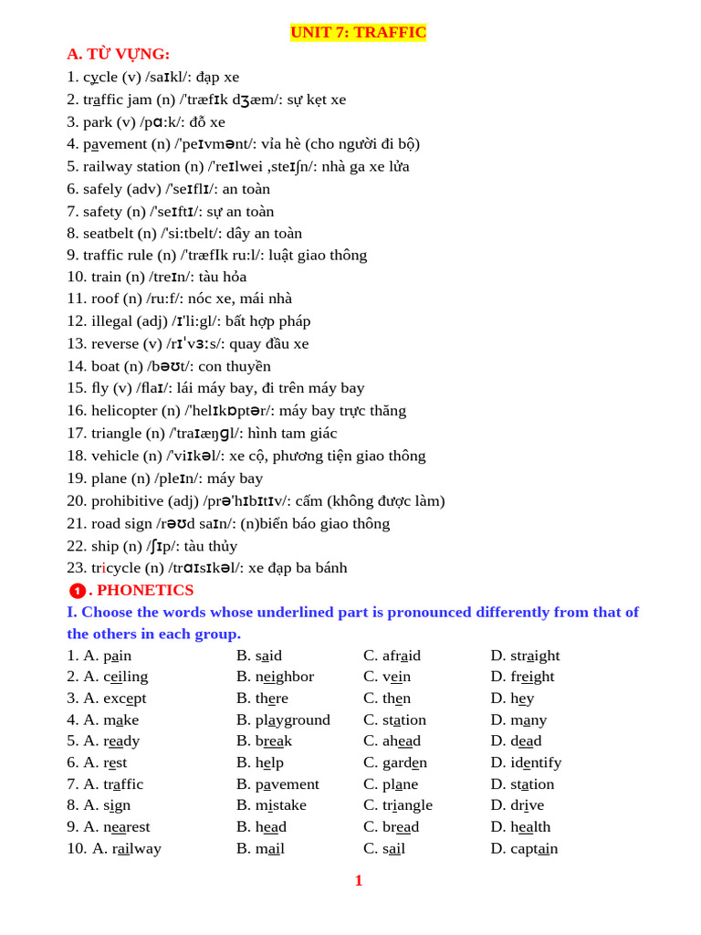 Traffic Vocabulary and Rules Guide | PDF