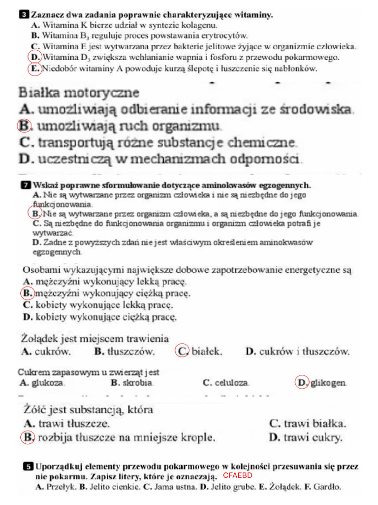Abcd 1 | PDF