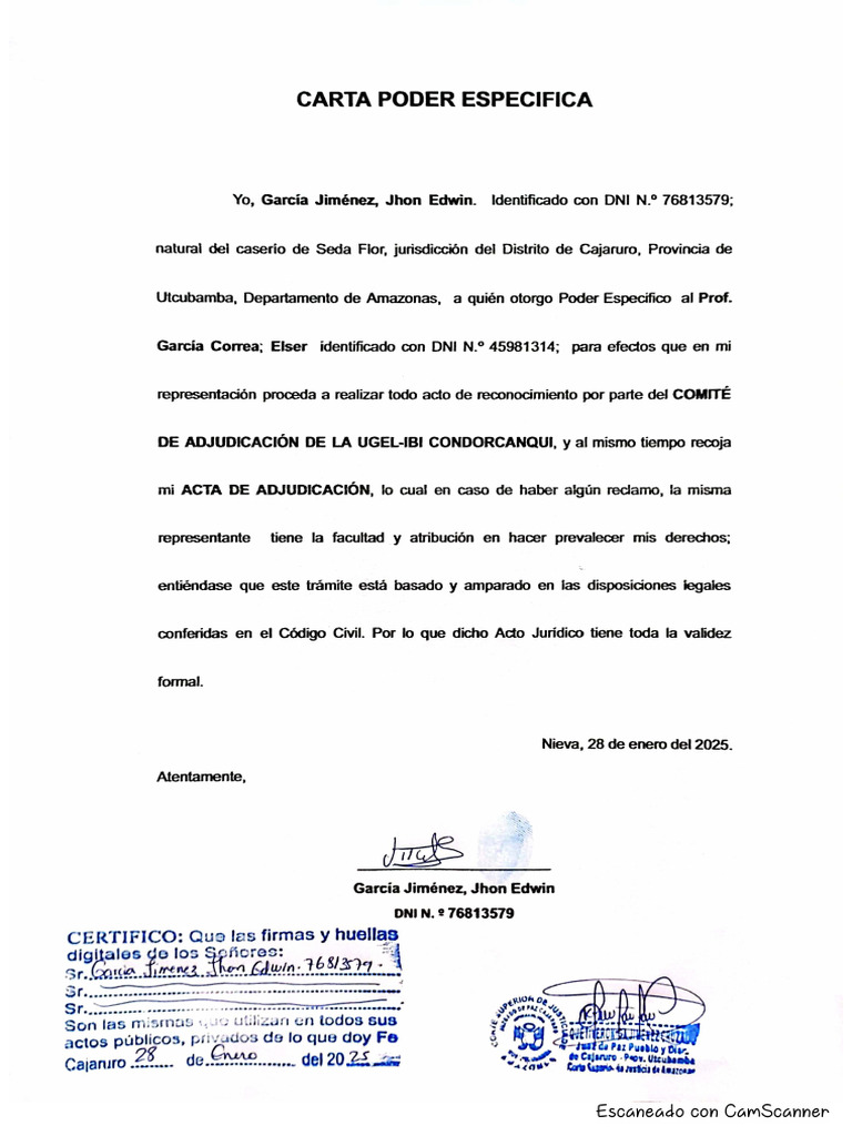 Carta Poder | PDF