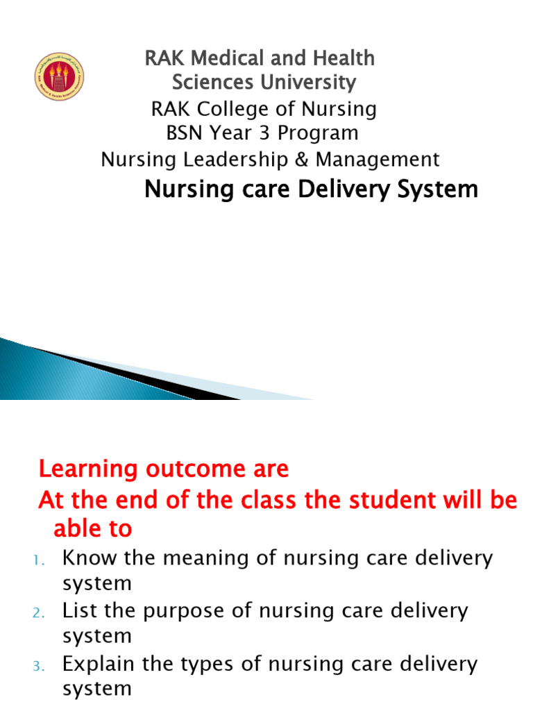 Nursing Care Delivery System | PDF | Nursing | Patient