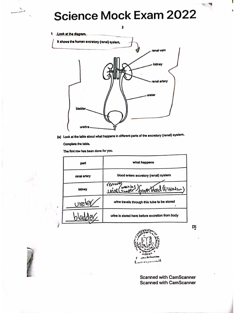 Y8 Science Mock 2022 | PDF