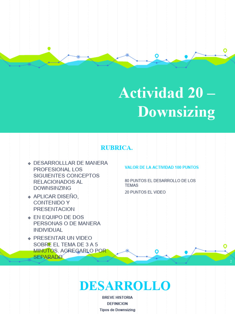 Downsizing | PDF