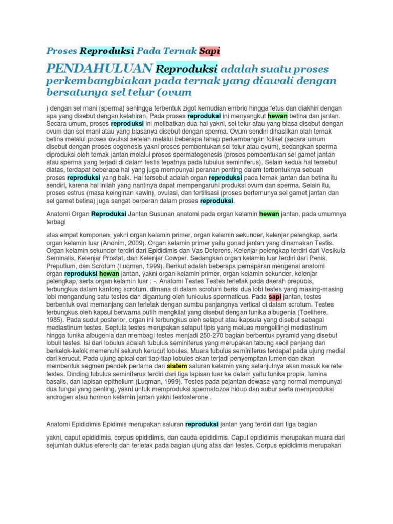 Reproduksi Sapi Jantan | PDF