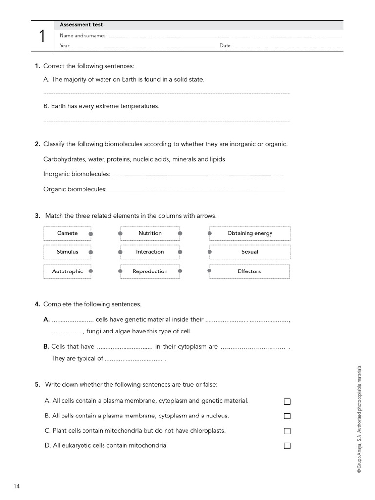 Biology Assessment Test Template | PDF | Cell (Biology) | Eukaryotes