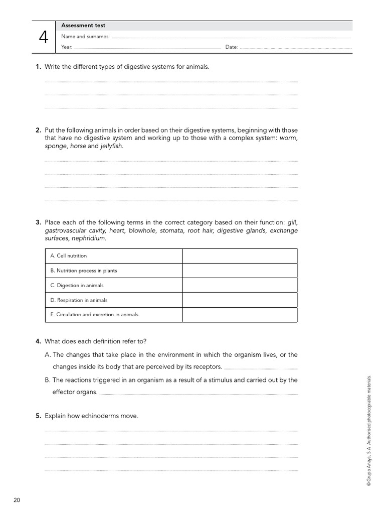 1ºESO BG - Ficha bilingüe UD4 | PDF | Stimulus (Physiology) | Reproduction