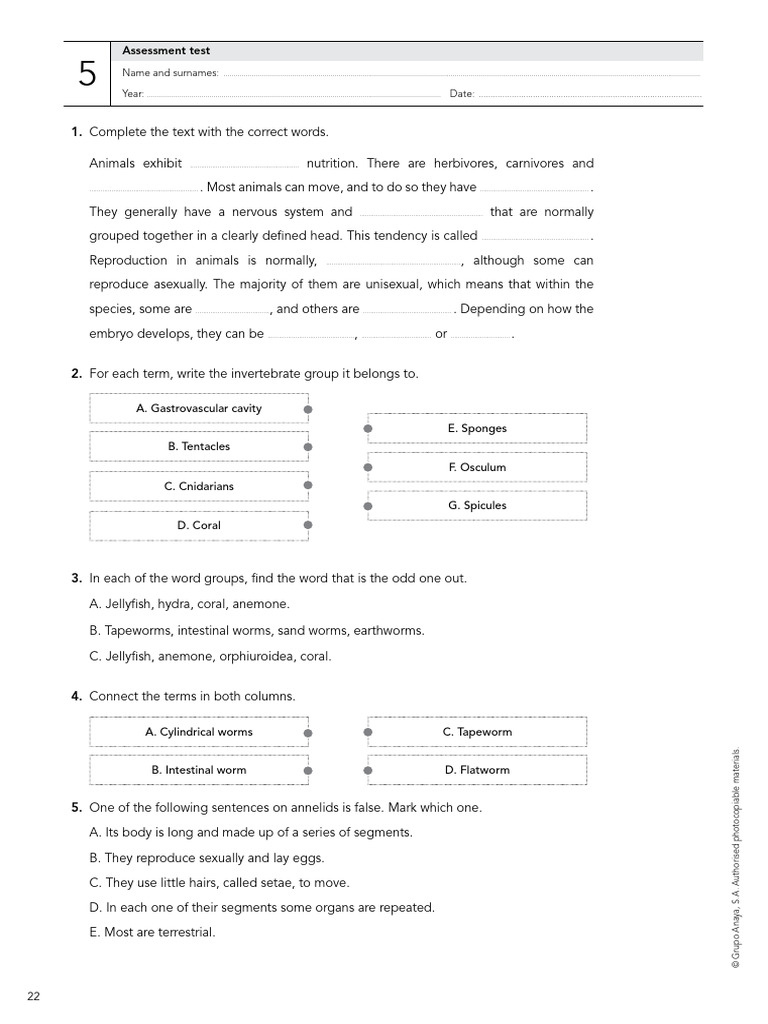 1ºESO BG - Ficha Bilingüe UD5 | PDF | Invertebrate | Zoology
