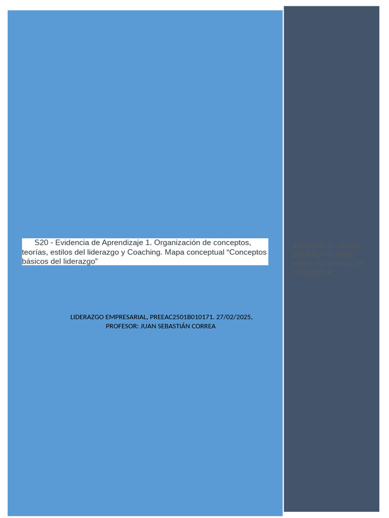 Flórez David Mapa Conceptual | PDF | Liderazgo | Desarrollo personal