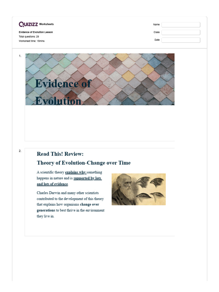 Evidence of Evolution Worksheet | PDF | Evolution | Species