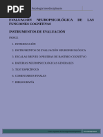 SCIP S. Screening Del Deterioro Cognitivo en Psiquiatria | PDF ...