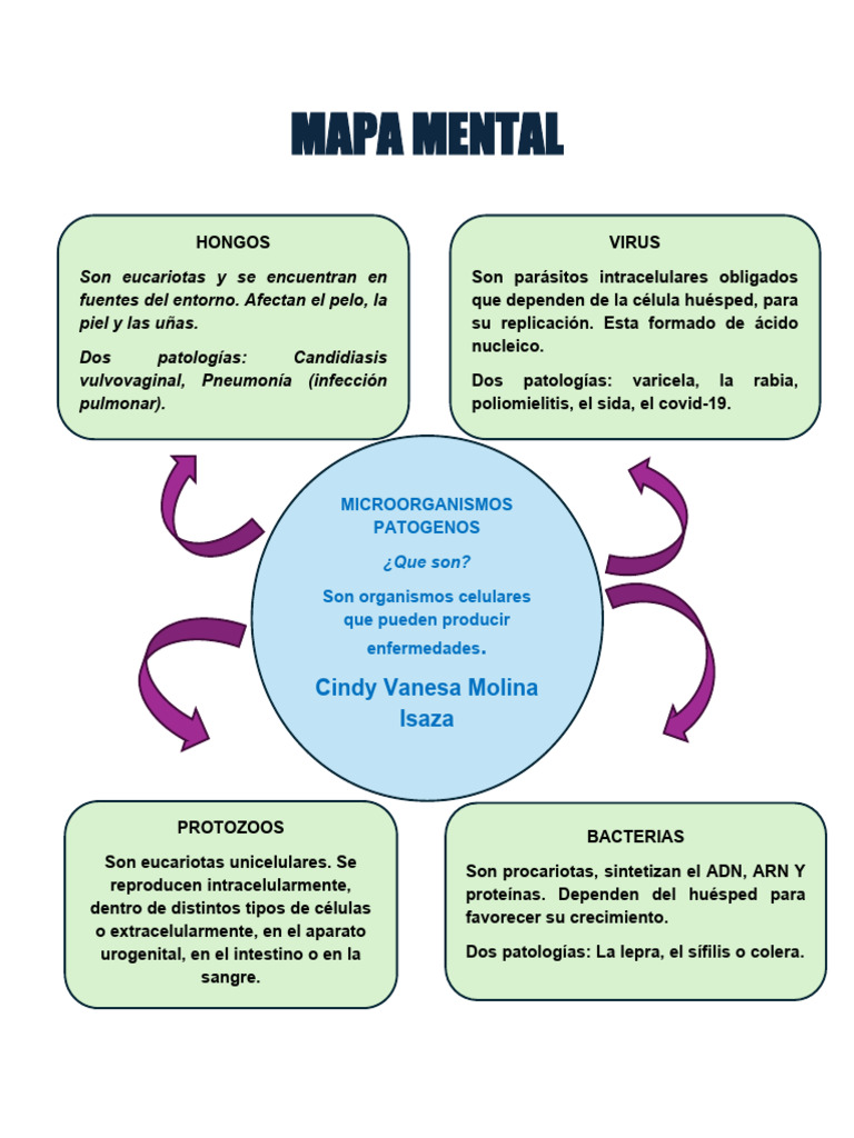 MAPA MENTAL(1) | PDF