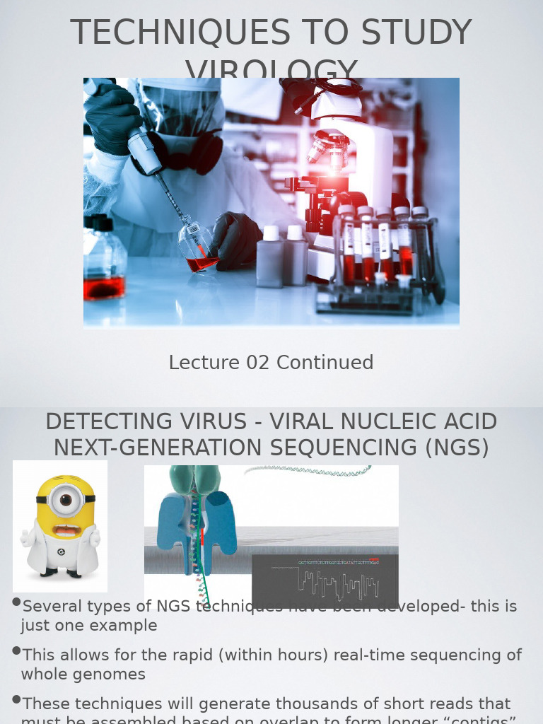 Virology Study Techniques and Assays | PDF | Virus | Tree Of Life (Biology)