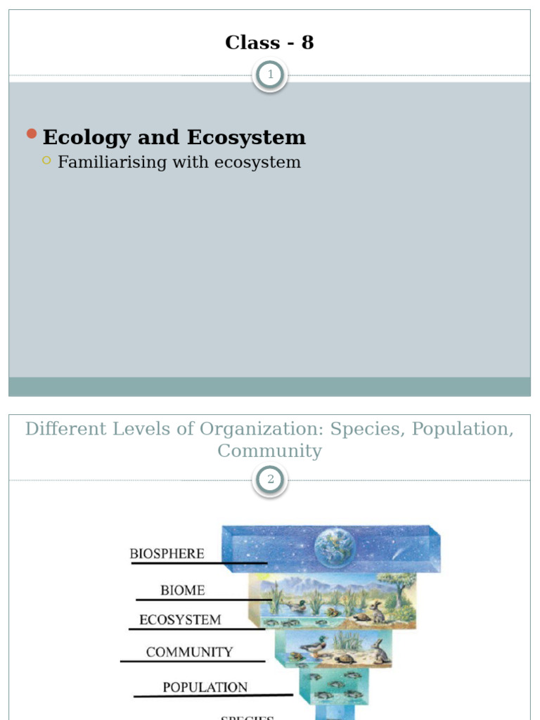 Ecology and Biodiversity in Bangladesh | PDF | Leaf | Plants