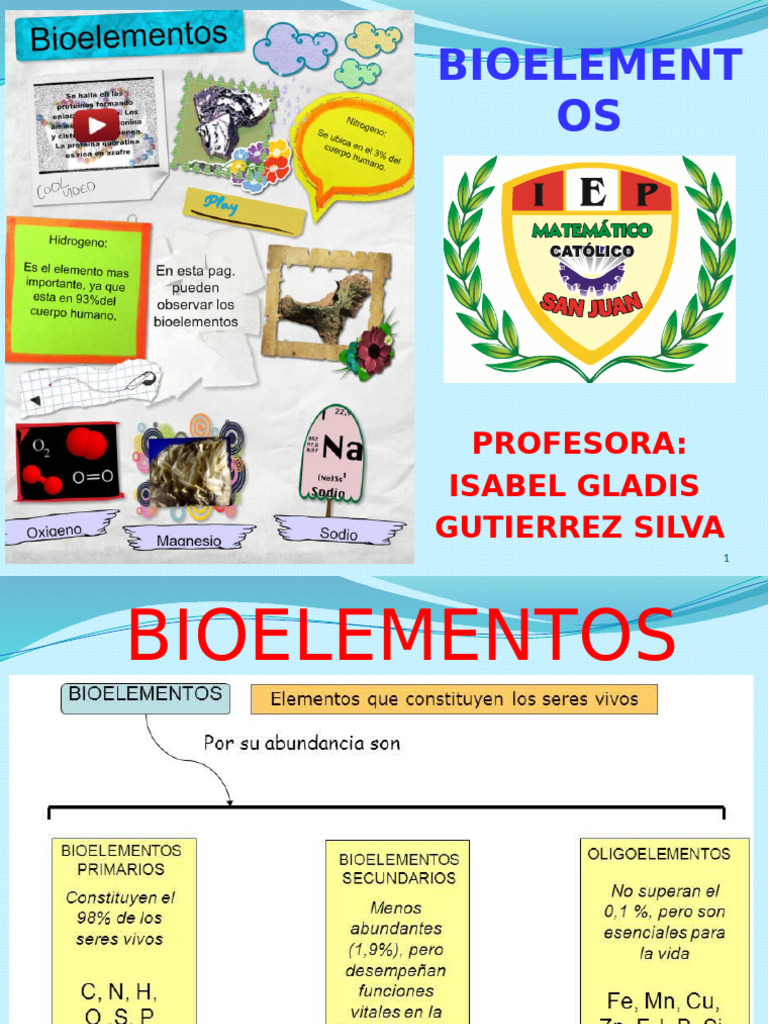 BIOELEMENTOS | PDF