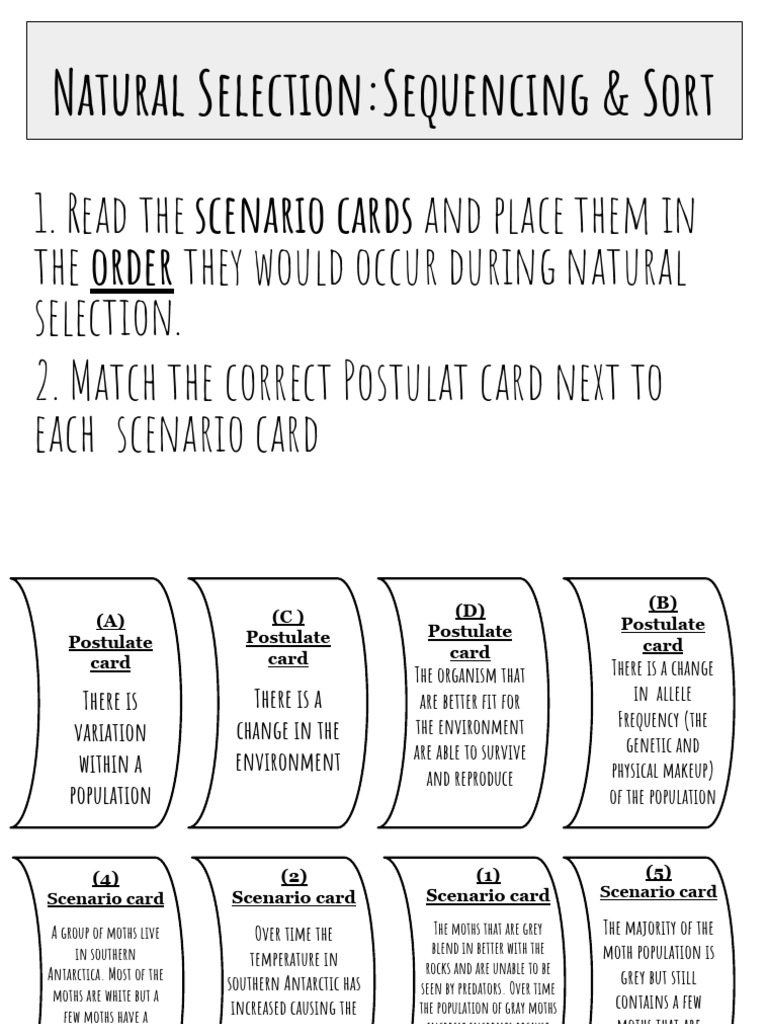 Natural Selection Activity - Kami | PDF | Mouse | Natural Selection