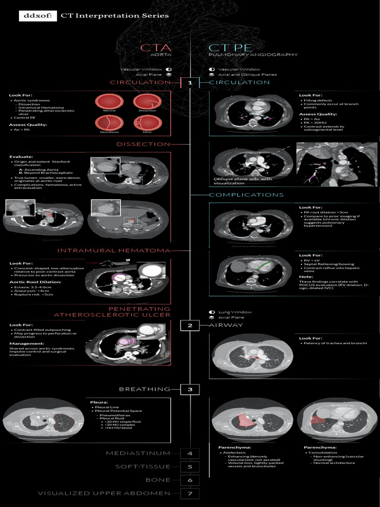 CT Angiography Interpretation Guide | PDF | Lung | Aorta