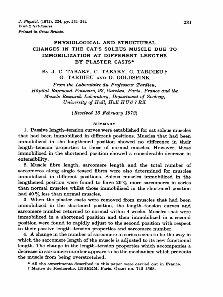 Absorção e Produção de Sarc. em Gatos | PDF | Skeletal Muscle | Soft Tissue