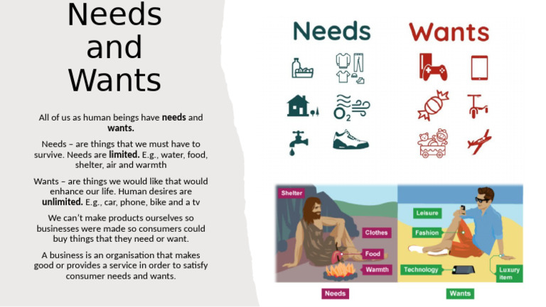 Needs and Wants | PDF