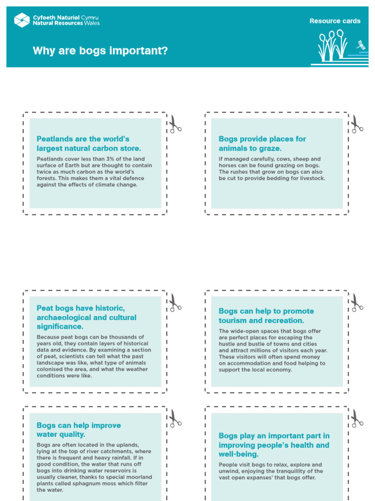eng-resource-cards-why-are-bogs-important | PDF | Peat | Physical Geography
