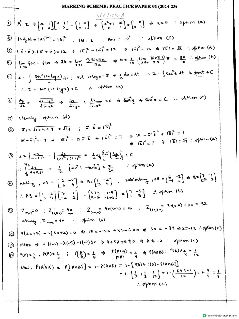 XII MATHS PRACTICE PAPER-01 (MARKING SCHEME) 2024-25 | PDF