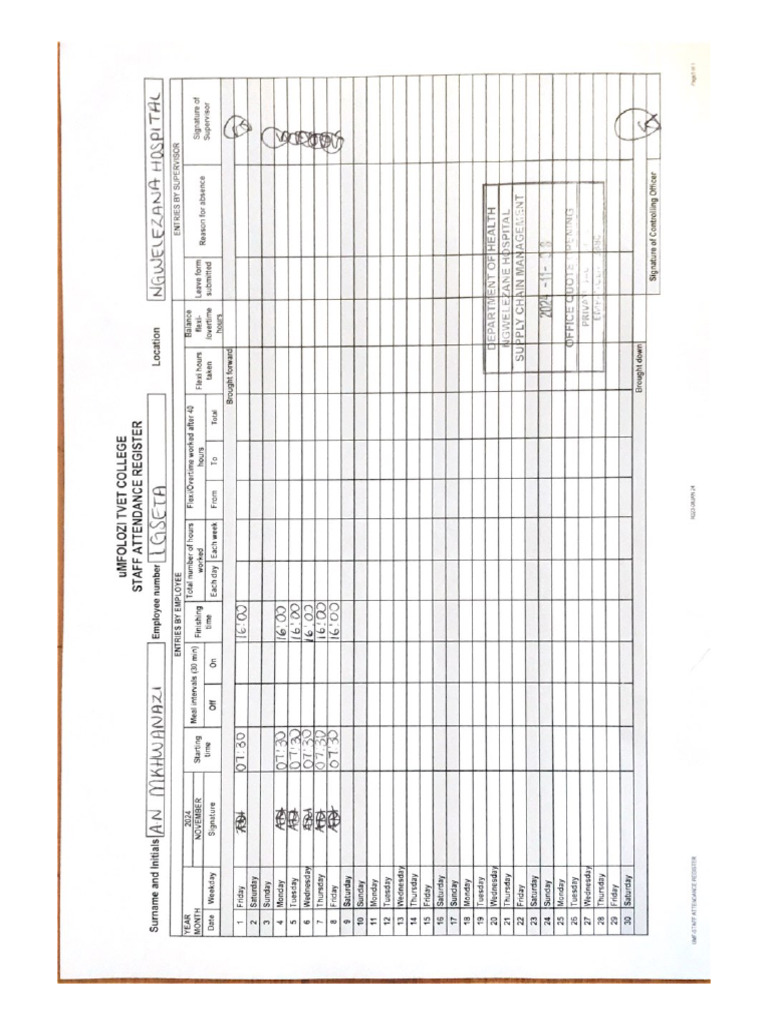 November 2024 Timesheet | PDF