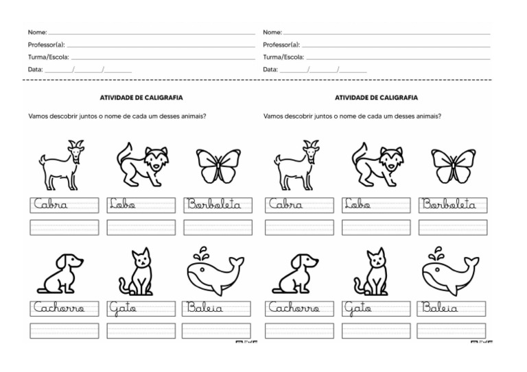 Animaiss Cursiva | PDF