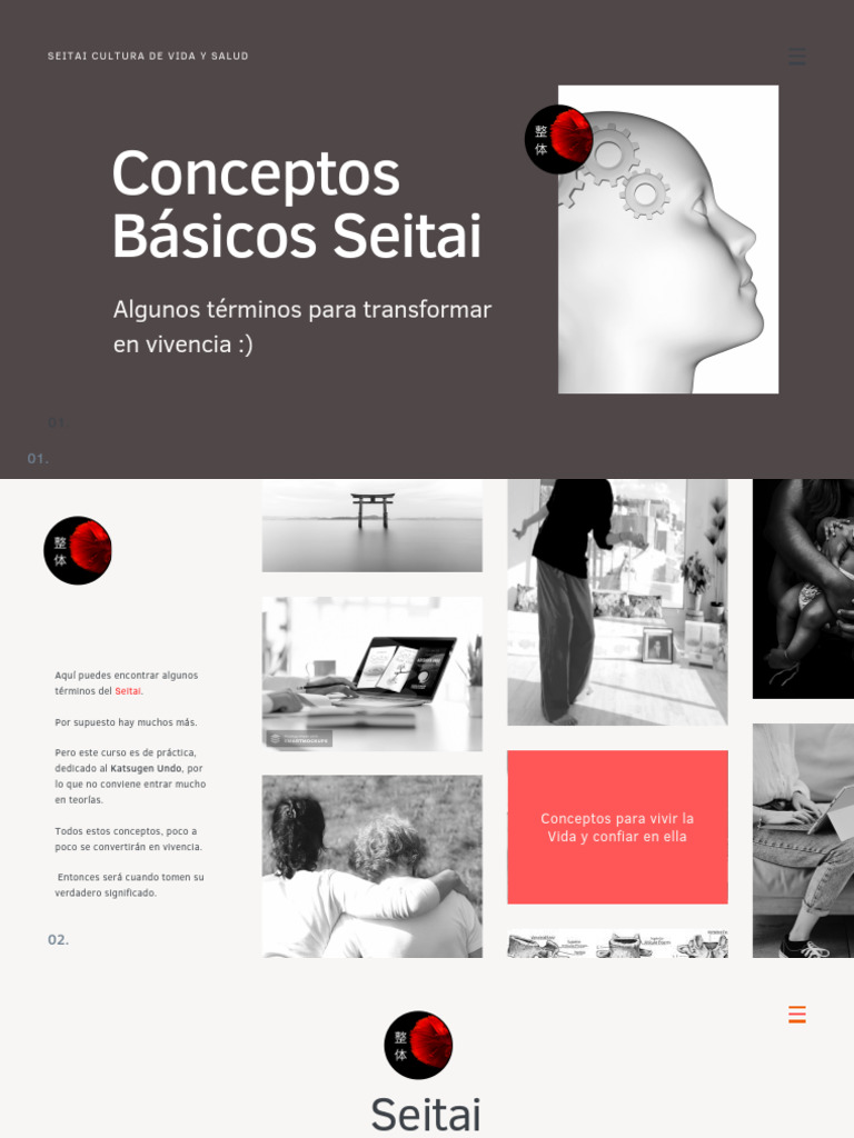 Conceptos_Seitai_b_sicos (1) | PDF