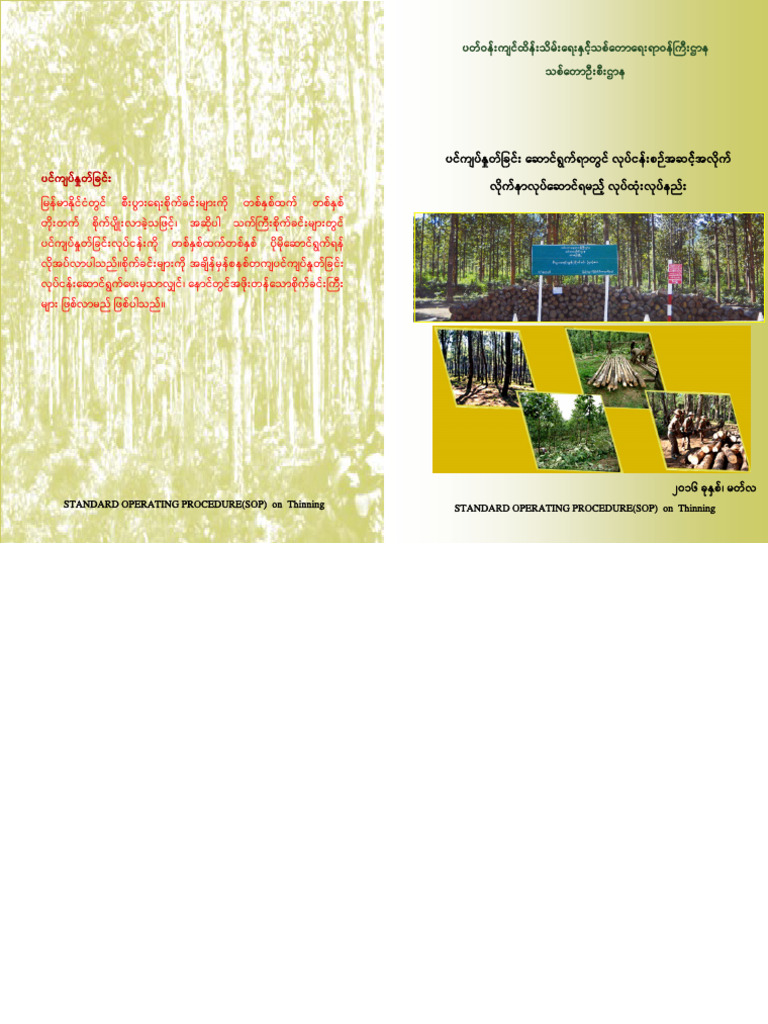 SOP For Thinning Operation | PDF