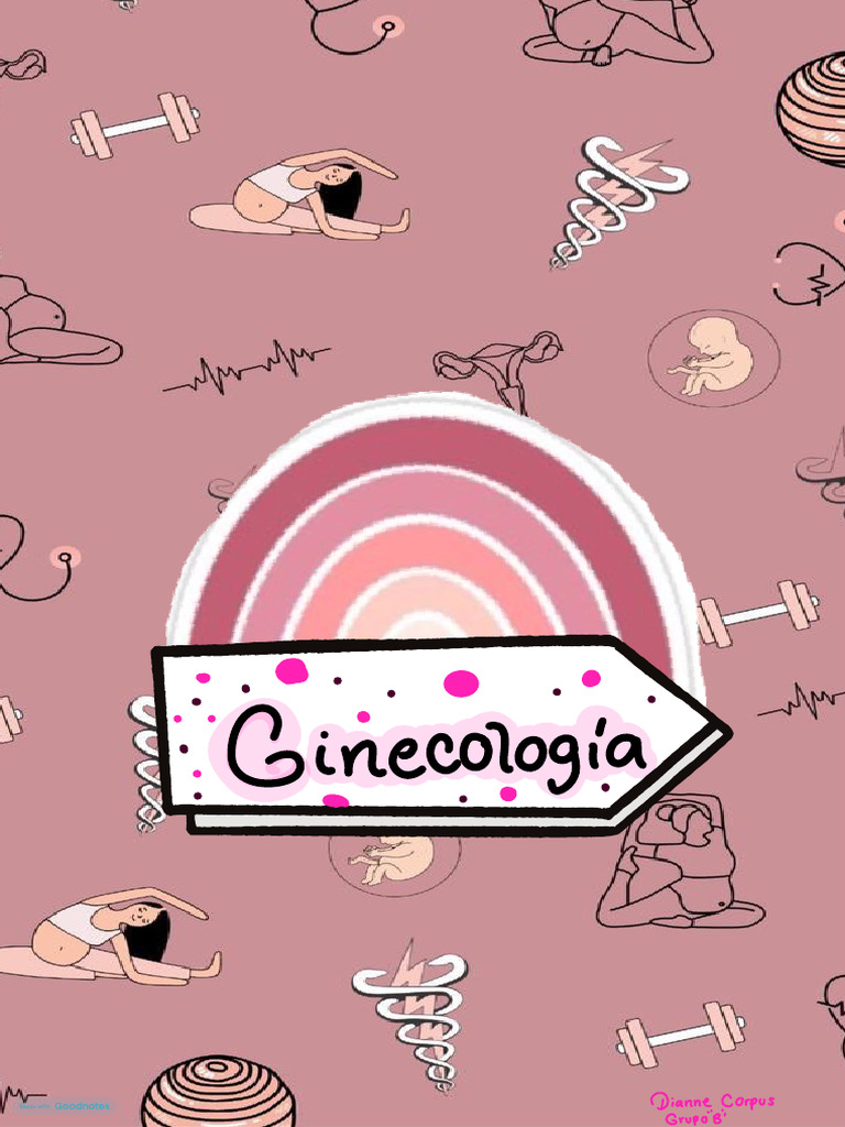 Órganos_genitales_internos_y_externos_-1 | PDF | Labios | Vagina