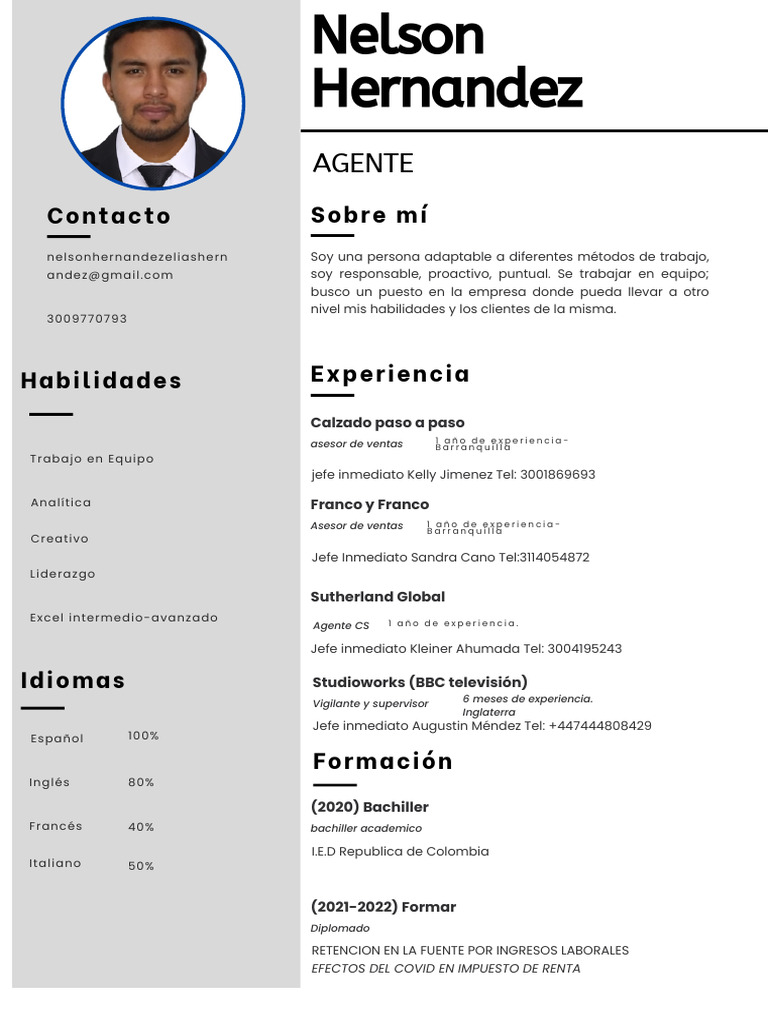 Currículum Vitae CV Minimalista Sencillo Clásico Gris | PDF