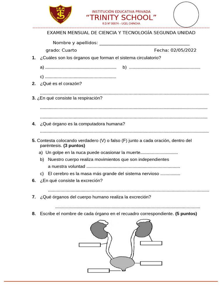 Examen de Ciencia y Tecnología - Cuarto Grado | PDF