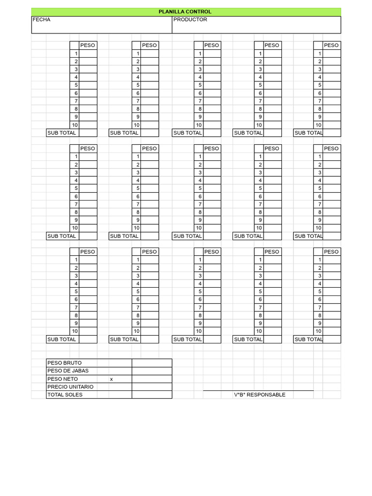 Planilla de Control de Pesos y Costos | PDF