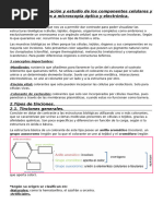 Colorantes Ácidos y Básicos en Histología | PDF | Técnicas de ...