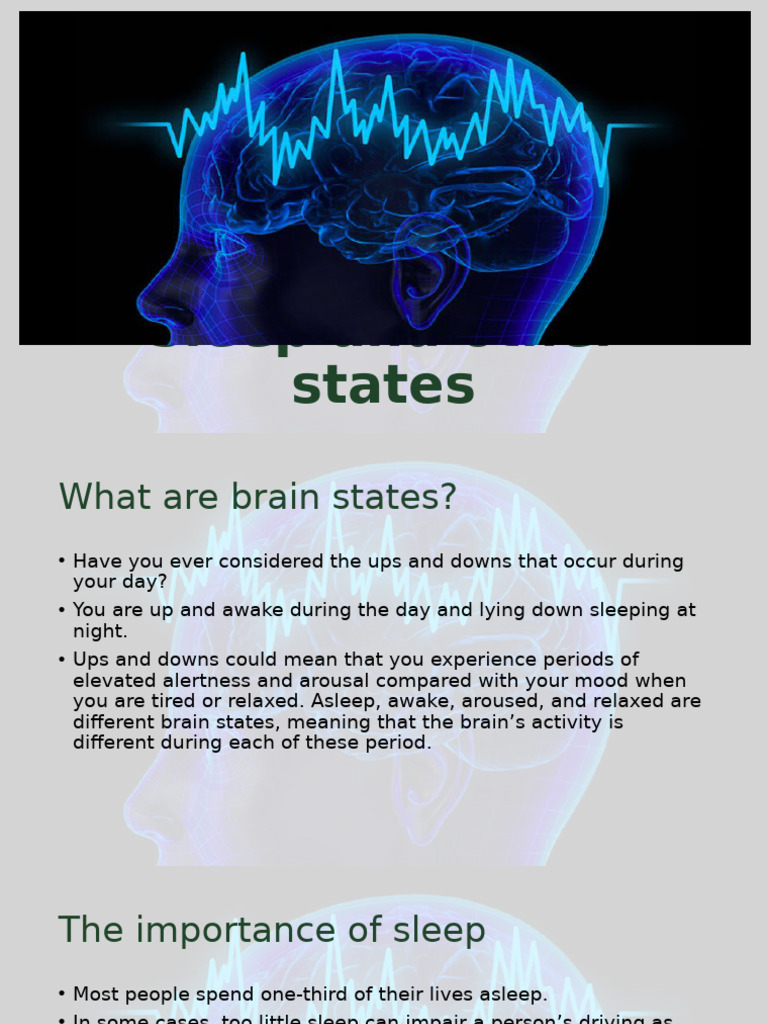 Understanding Sleep and Brain States | PDF | Rapid Eye Movement Sleep ...