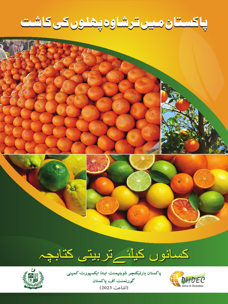 Citrus Booklet | PDF