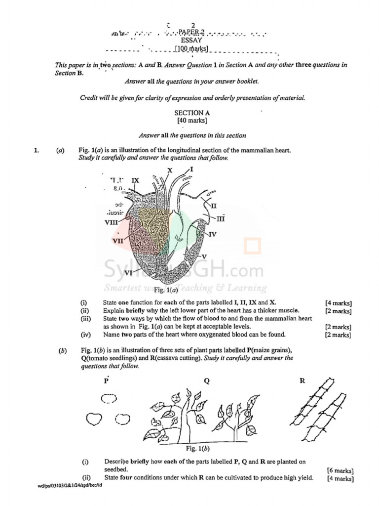 2024 Bece Science 2 | PDF