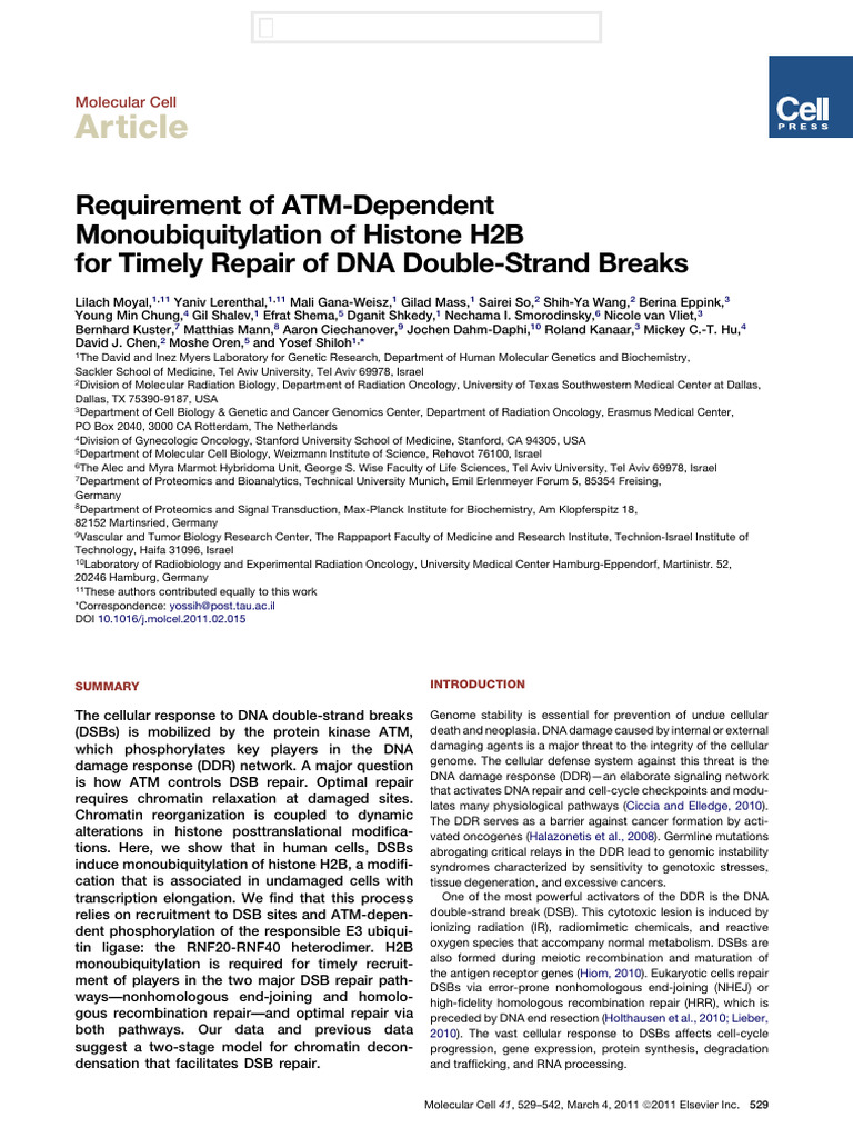Requirement of ATM-Dependent | PDF | Dna Repair | Chromatin