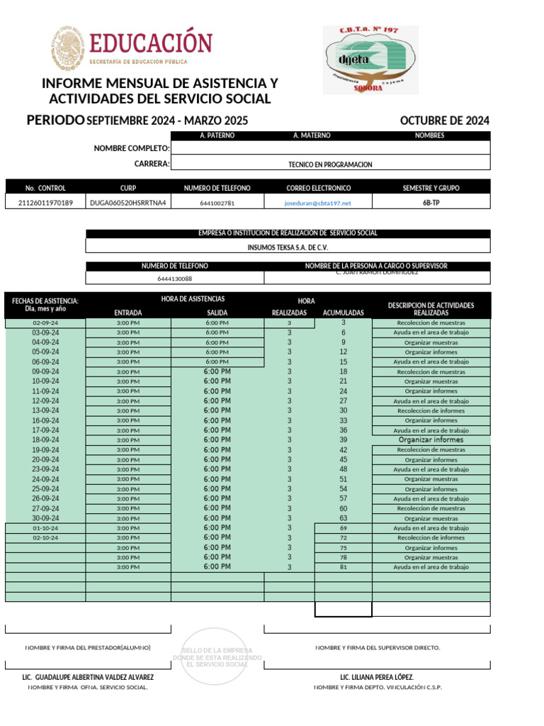 Reporte Mensual Oficial 2024-2025 Servicio Social | PDF