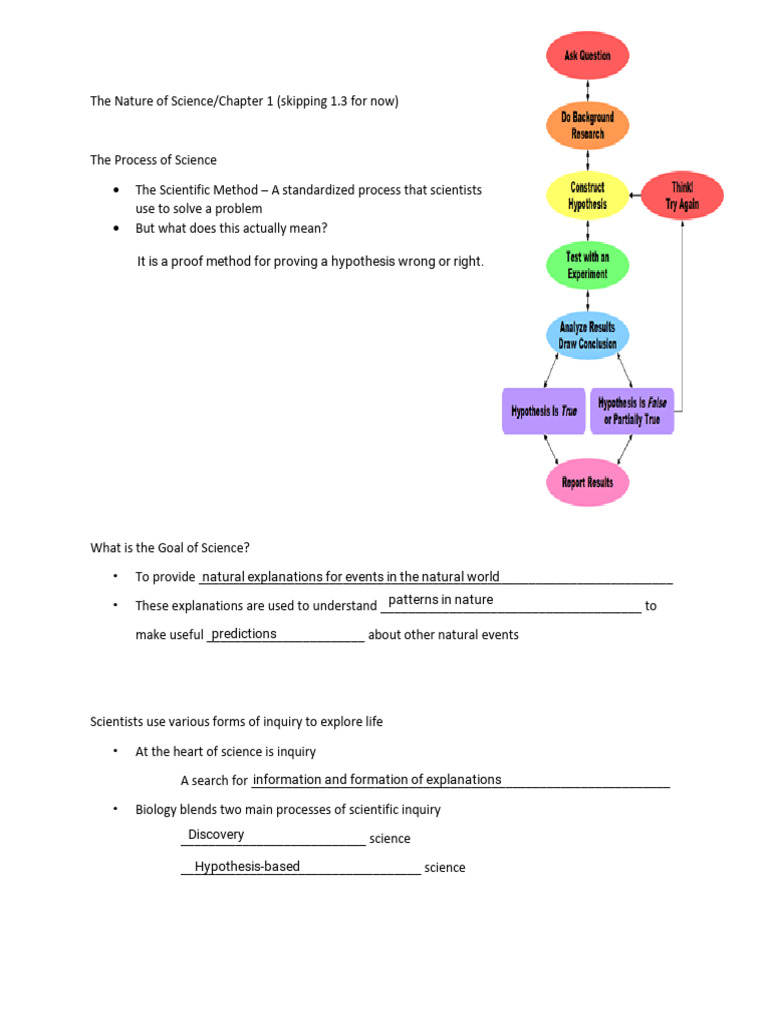 Science Guided Notes | PDF | Experiment | Science