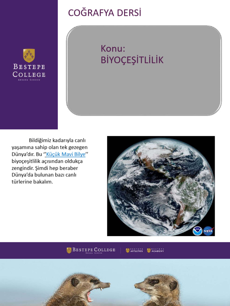 11 Sﾄｱnﾄｱf 1 Biyoﾃｧeﾅ殃tlilik PDF | PDF